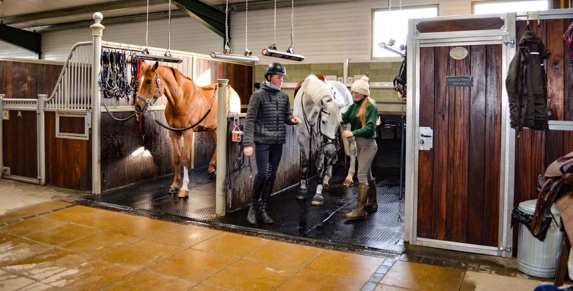 Horse Solariums - Specialist Equestrian Heater Advice